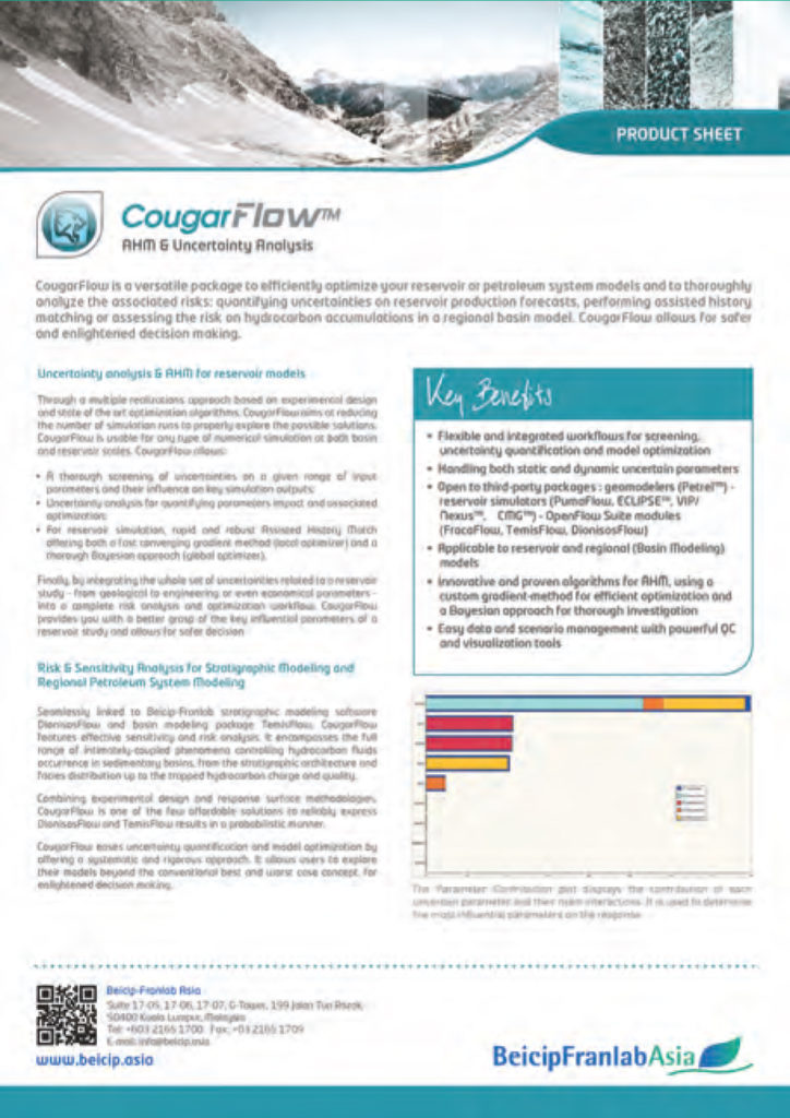 CougarFlow™ | Beicip-Franlab Asia